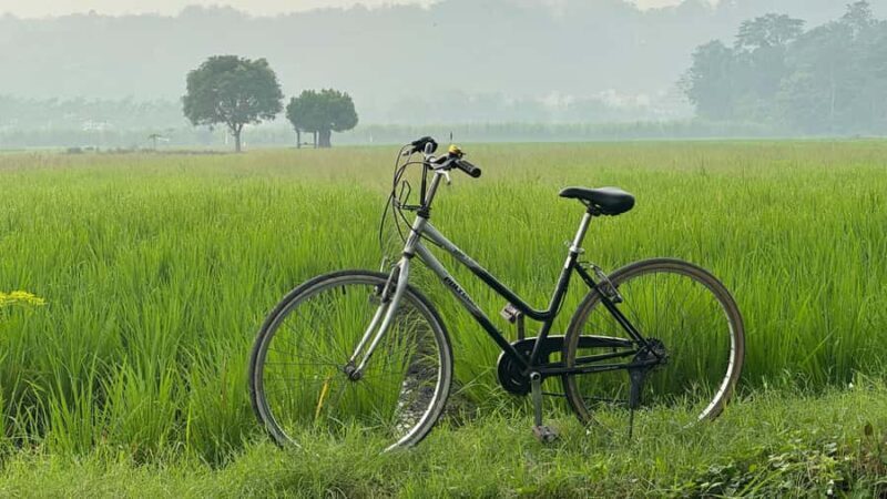 Yogyakarta: Village Cycling Tour with Local Snacks - Authentic Versus Tourist Experience