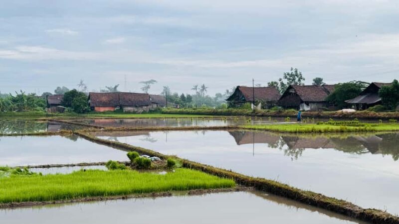 Yogyakarta: Village Cycling Tour with Local Snacks - The Sum Up: Who Should Consider This Tour?