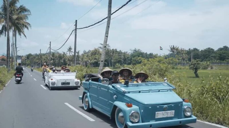 Yogyakarta : VW Borobudur English Guide Tour Medium Trip - Final Thoughts