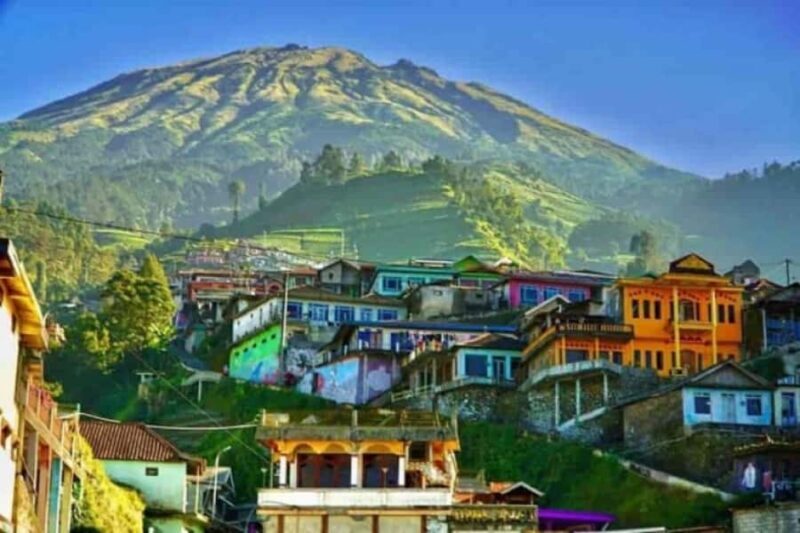 YOGYAKARTA;NEPAL VAN JAVA & SELOGRIYO TEMPLE TERRACED FIELDS - Introduction