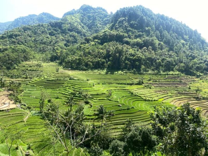 YOGYAKARTA;NEPAL VAN JAVA & SELOGRIYO TEMPLE TERRACED FIELDS - Authentic Experiences and Traveler Tips