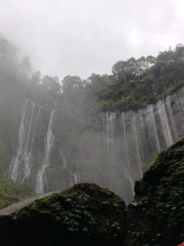 Yogyakarta,Surabaya/malang to waterfall,Bromo&Ijen drop Bali - Who Is This Tour Best For?