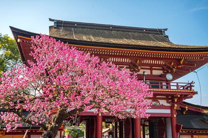 YokaBus Fukuoka Cruise Shore Excursion Dazaifu Half Day Tour - FAQs