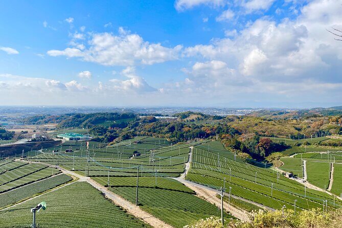 YokaBus Heritage in a Cup of a Yame Tea & Sake Tasting Expedition - Overview of the Tour Experience