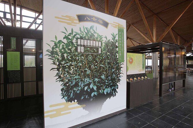 YokaBus Heritage in a Cup of a Yame Tea & Sake Tasting Expedition - FAQs