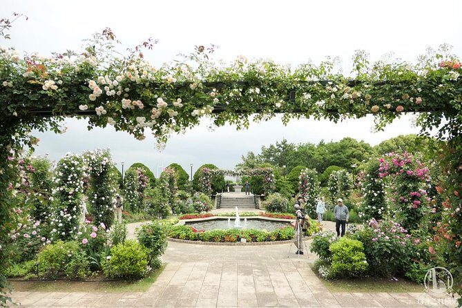 Yokohama / Kamakura 6hr Private Trip Government-Licensed Guide - Practical Considerations & Value