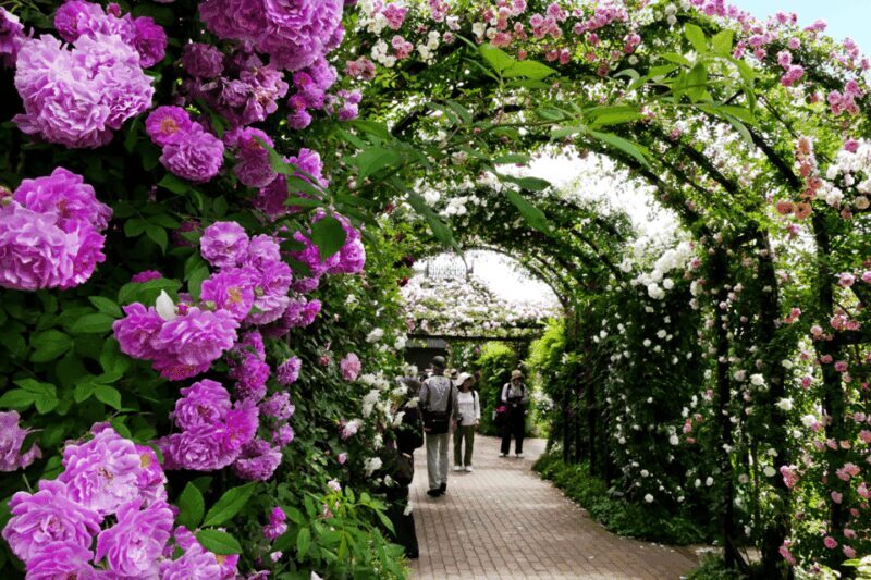 Yokohama Kanagawa One Day Private Charter car from Tokyo - Who Will Love This Tour?