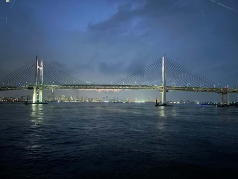 Yokohama Nights: Harbor, Chinatown & Waterfront Private Tour - Who Will Love This Tour?