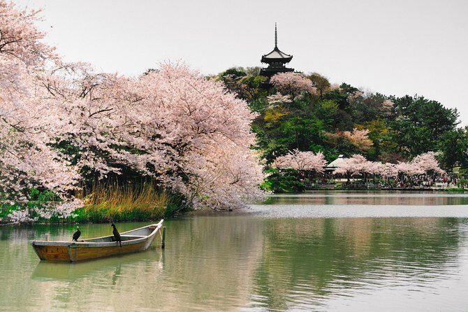 Yokohama Private Customizable Full Day Tour - Why Choose a Custom Tour?