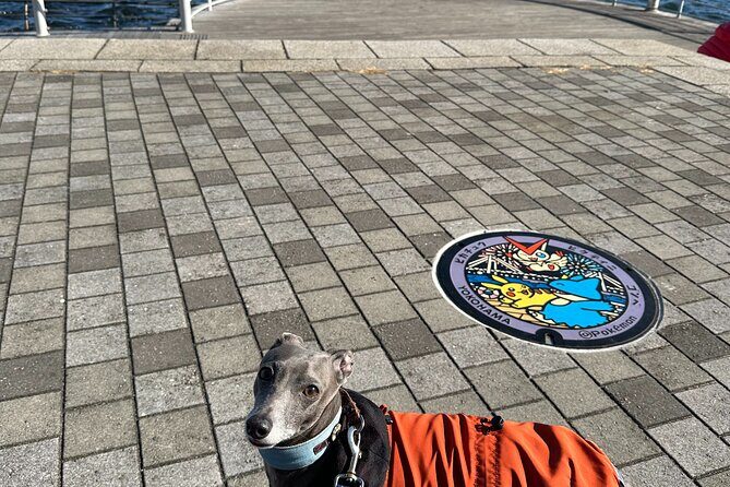 Yokohama Private Manhole Lids exploring - Exploring Yokohama’s Hidden Details