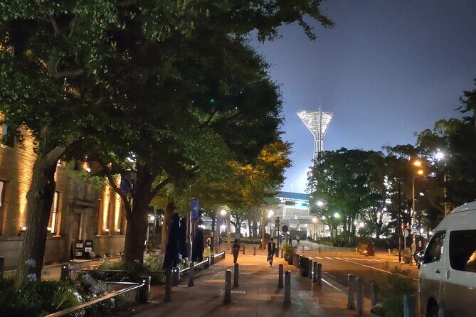 Yokohama Private Tour -Night View- - Analyzing the Value