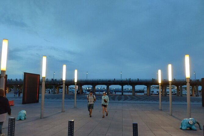 Yokohama Private Tour -Night View- - Practical Tips for Travelers