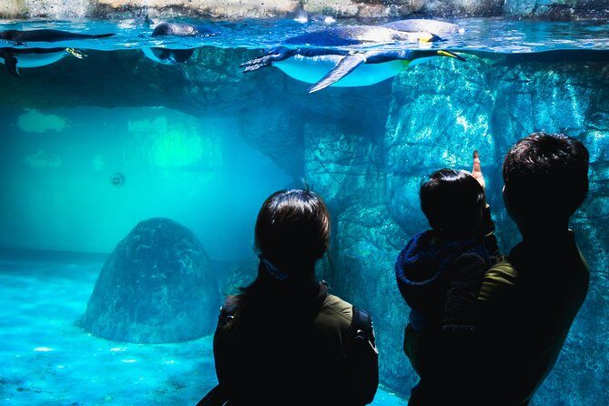 Yokohama Private Tours with Locals: 100% Personalized, See the City Unscripted - The Value of the Experience