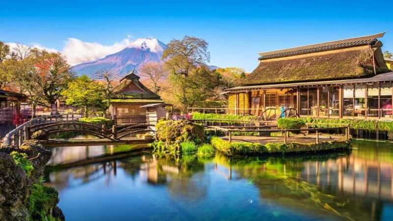 Yokohama Sumo Tour from Tokyo ( Ticket Included) | Apr 16 - Who Should Consider This Tour?