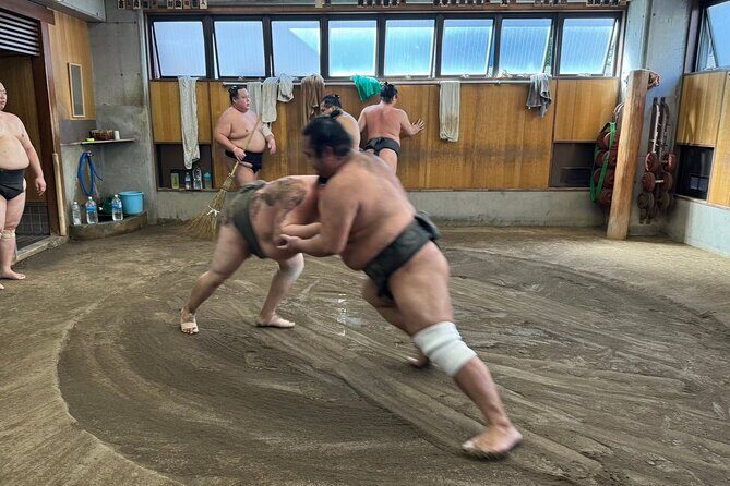 Yokuzuna Sumo Stable Morning Practice in Osaka - Key Points