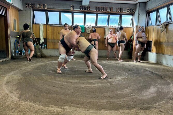Yokuzuna Sumo Stable Morning Practice in Osaka - An In-Depth Look at the Experience