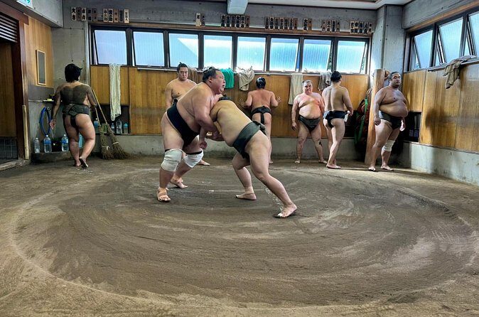 Yokuzuna Sumo Stable Morning Practice in Osaka - Who Will Enjoy This Tour?