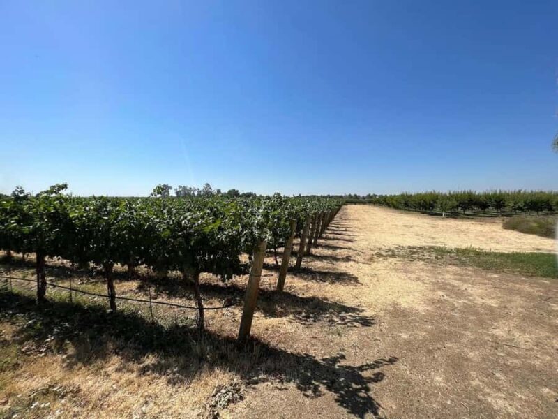 Yolo: Vineyards, Farms & Cultural Gems - Audio Driving Tour - Deep Dive Into the Experience: What to Expect at Each Stop