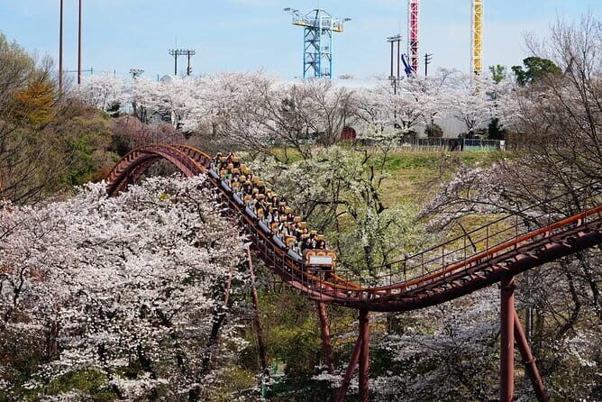 Yomiuriland One Day Pass Ticket in Tokyo - Summary: The Value and Appeal