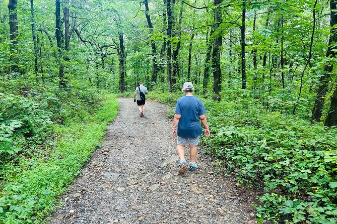 Yonah Mountain Hike Private Tour in Georgia - Pricing and Value