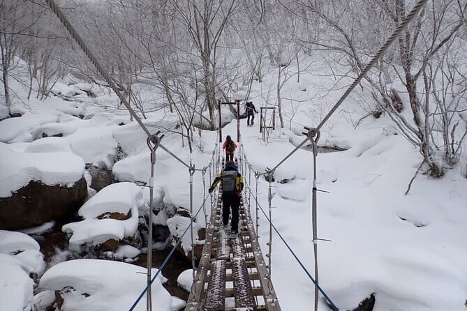 Yonako Falls Expedition: A Snowshoeing Adventure - Potential Drawbacks