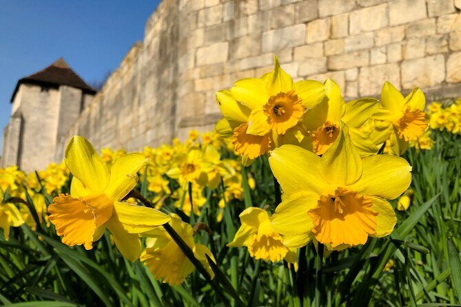 York 3-Hour Photography Walking Tour - The Real Value of the Tour