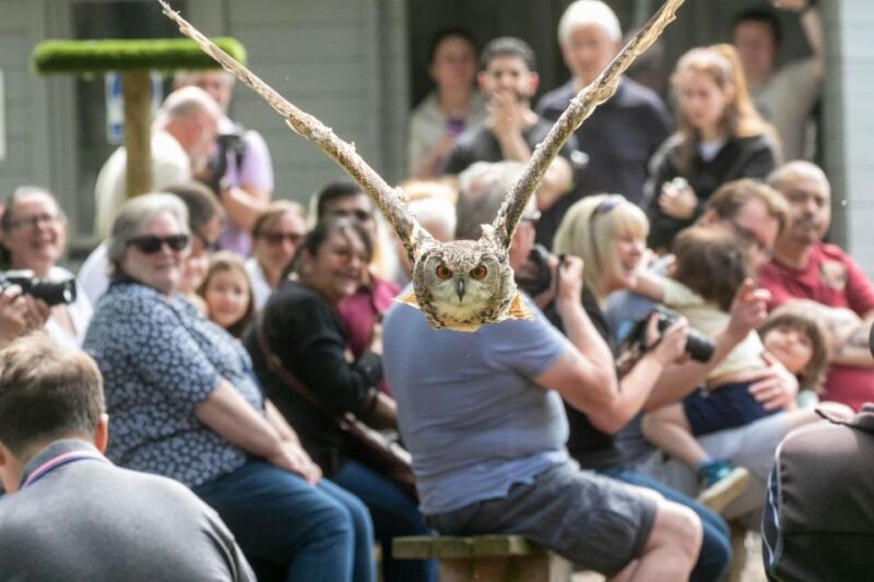 York: Entry to York bird of prey centre - The Sum Up