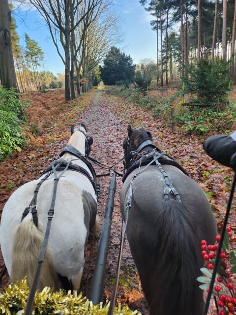 York: Horse Drawn Carriage Ride Around the Countryside York - Analyzing Cost and Value