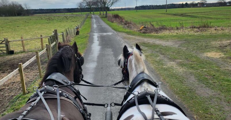 York: Horse Drawn Carriage ride & Cream Tea - Key Points