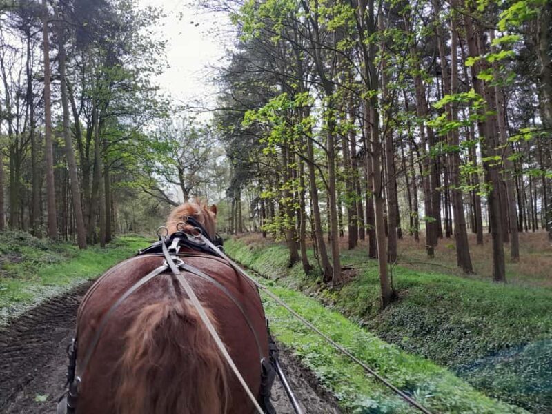 York: Private Horse-Drawn Carriage Ride and Afternoon Tea - FAQs