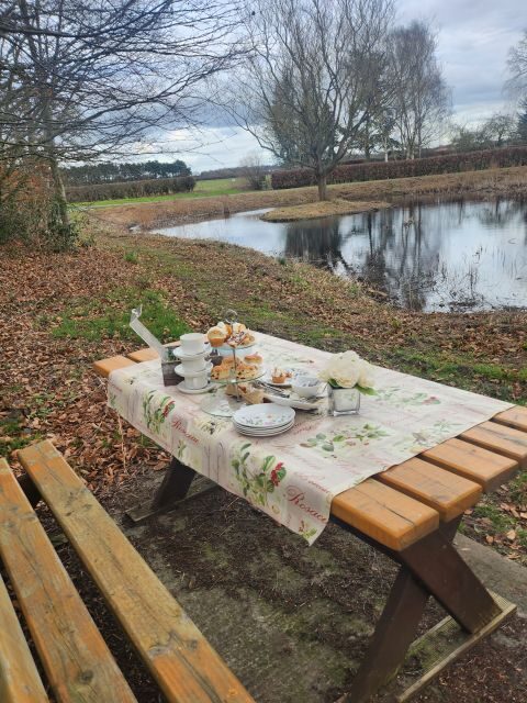 York: Private Horse-Drawn Carriage Ride and Afternoon Tea - The Experience: Comfort, Cost, and Authenticity