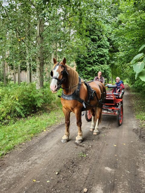 York: Private Horse-Drawn Carriage Ride and Afternoon Tea - FAQ