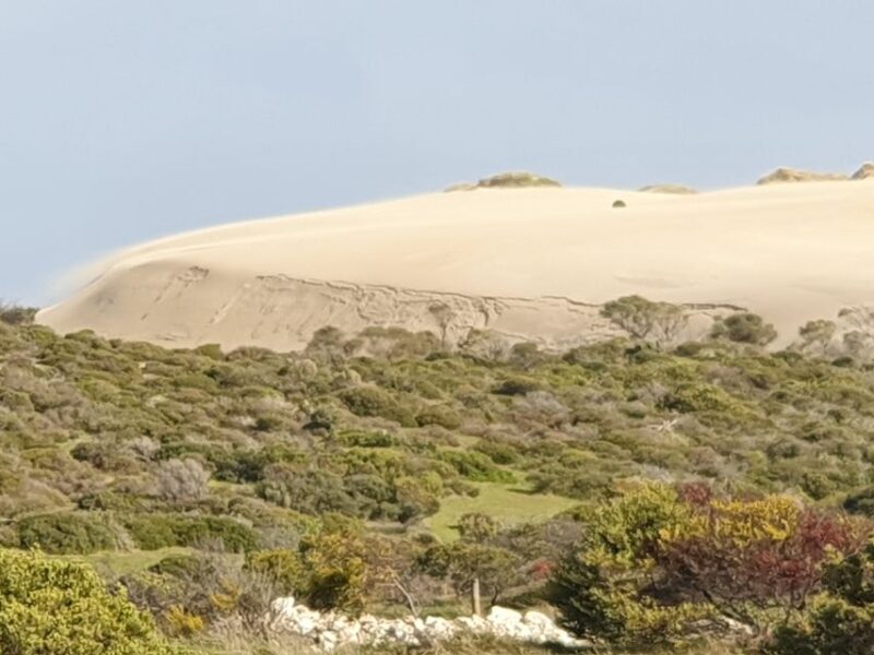 Yorke Peninsula: 3-Day Coastal Wilderness Tour from Adelaide - Day Two: Wildlife, Ruins, and Lighthouses