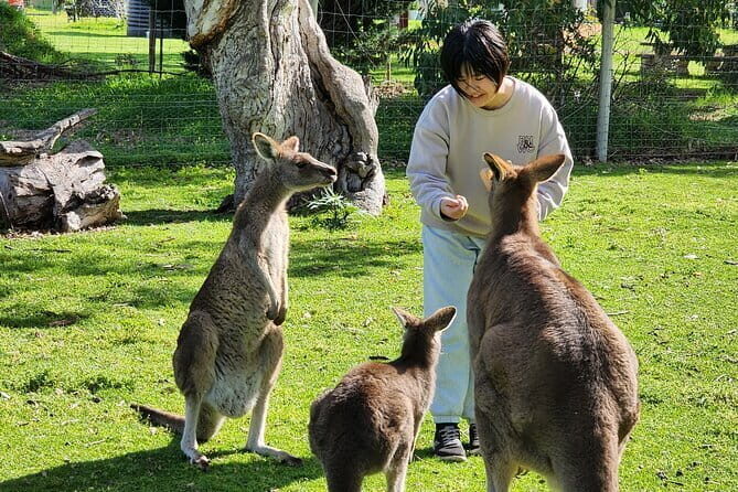 Yorke Peninsula 3-Day Small Group 4WD Eco Tour from Adelaide - Transportation & Group Size