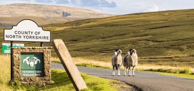 Yorkshire Dales National Park Driving Tour with an APP - Who Will Love This Experience?