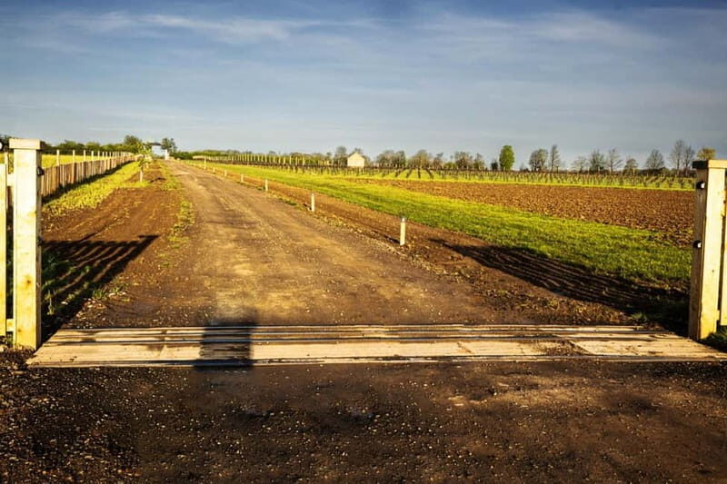 Yorkshire: Loversall Vineyard Wine Tasting and Tour - Yorkshire: Loversall Vineyard Wine Tasting and Tour — A Genuine Look