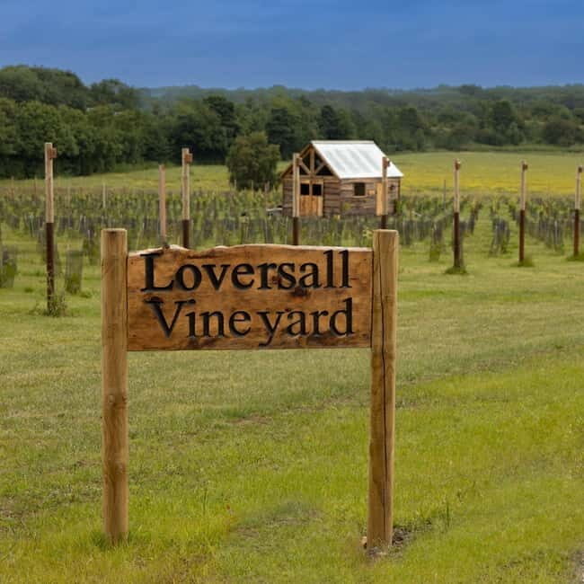 Yorkshire: Loversall Vineyard Wine Tasting and Tour - The Experience in Context