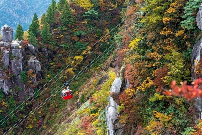 Yoro Falls and Mt. Gozaisho Scenic Ropeway from Nagoya - An Honest Look at the Tour Itself