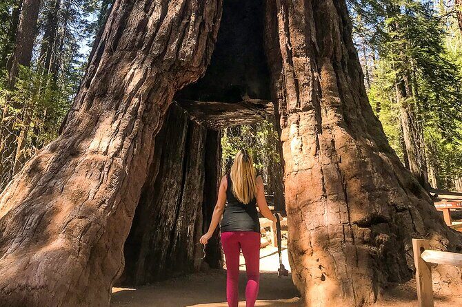 Yosemite 3-Day Camping Adventure from San Francisco - A Closer Look at the Yosemite Camping Experience