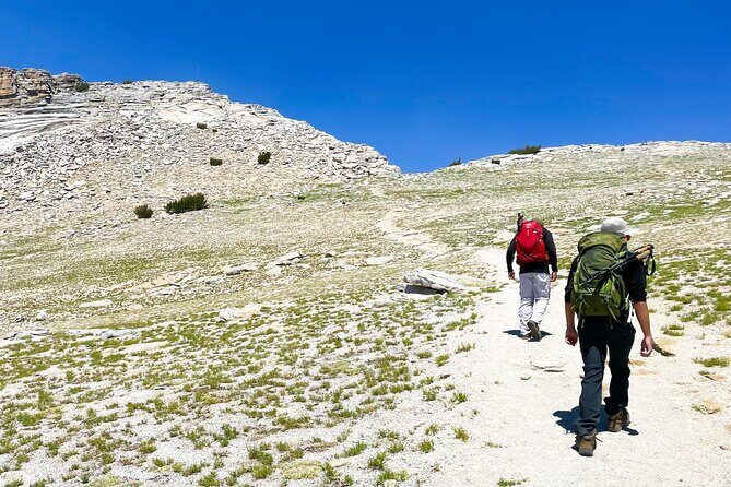 Yosemite: A Guided Father & Son Adventure - Why Choose a Private, Custom-Tailored Tour?