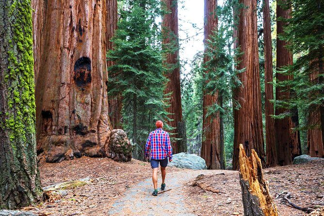 Yosemite and Tahoe from San Francisco: 4 Day Sierra Nevada Tour - Frequently Asked Questions