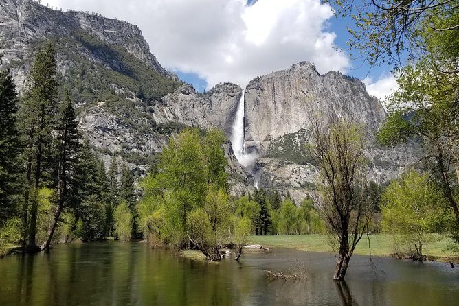 Yosemite Day Tour - Authentic Experiences and Real Traveler Feedback