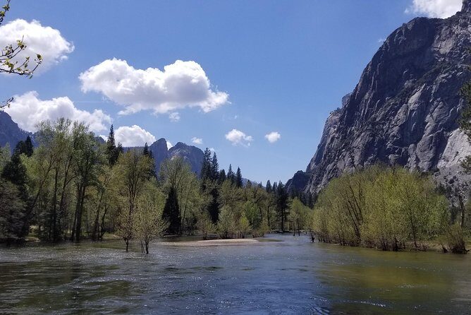 Yosemite Day Tour - Is This Tour Worth It?