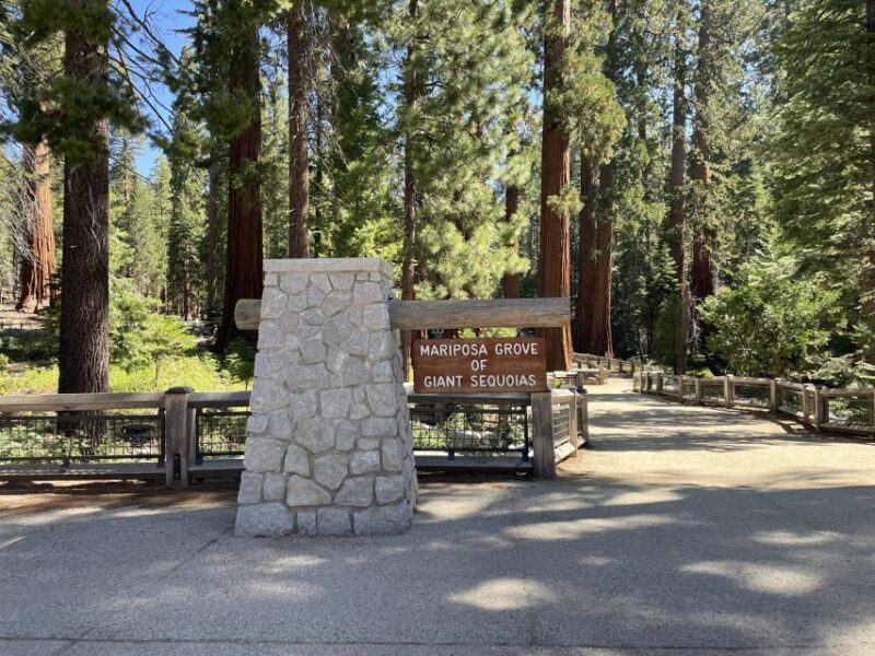 Yosemite, Giant Sequoias, Private Tour from San Francisco - What to Expect from Your Yosemite Private Day Tour