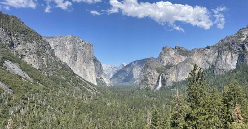 Yosemite, Giant Sequoias, Private Tour from San Francisco - Who This Tour Is Best For