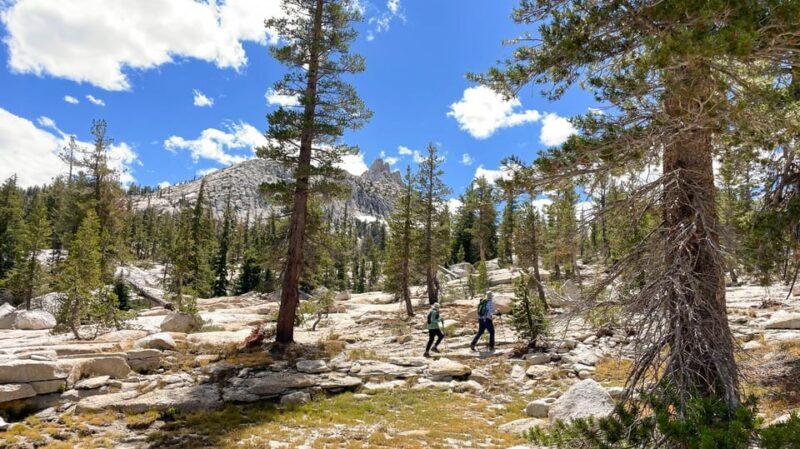 Yosemite: High Country Explorer - Private Hiking Tour - FAQ