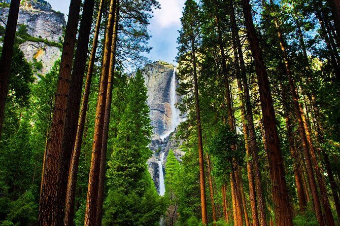 Yosemite Highlights: 5-Day Tour from San Francisco - FAQs