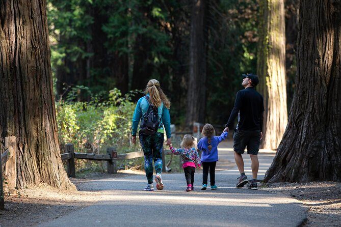 Yosemite Highlights & Giant Sequoias Day Tour from San Francisco - Introduction: A Long but Rewarding Day in Yosemite