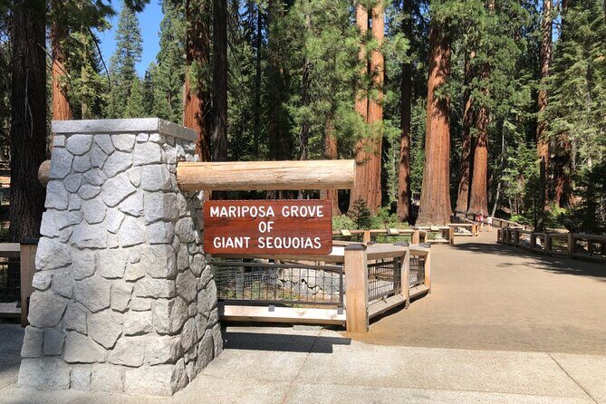 Yosemite Highlights Small Group Tour - The Itinerary in Detail: A Day Packed with Yosemite’s Highlights