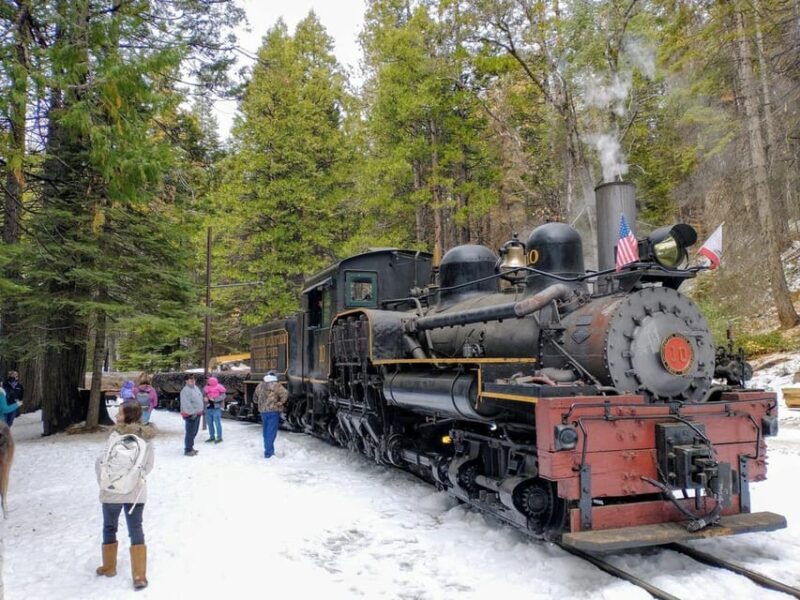 Yosemite Mountain Sugar Pine Railroad Ride with Narration - What to Expect on the Journey
